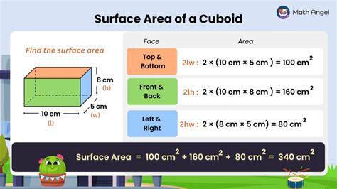 Surface Area Of A Cuboid