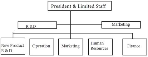 Organizational Structure Strategy Levels Examples
