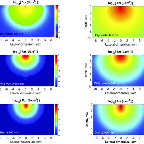 Monte Carlo Simulation Of Fluence Rate Distribution Of Excitation Light