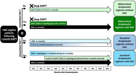 Master Dapt “the Master Of High Bleeding Risk Trials”