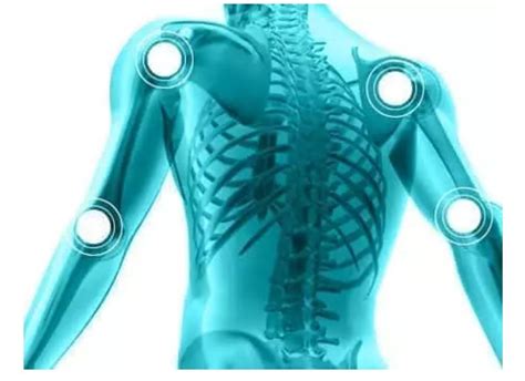 Liquid Biocell Skin Biocellguide Medium