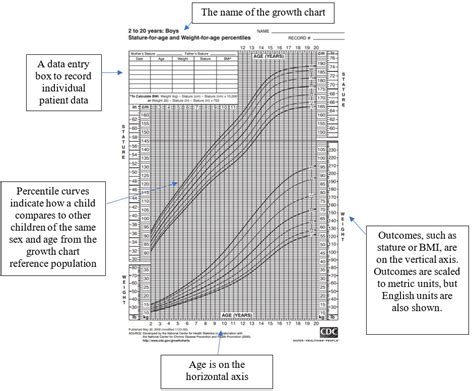 What Are Clinical Growth Charts Growth Chart Training Cdc