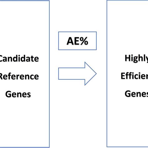Diagram Of Experimental Design Cv Coefficient Of Variance Calculated Download Scientific
