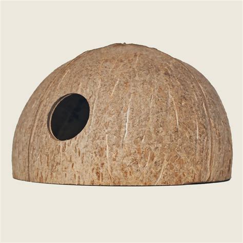 Coconut Hut Nature Aquariums Usa