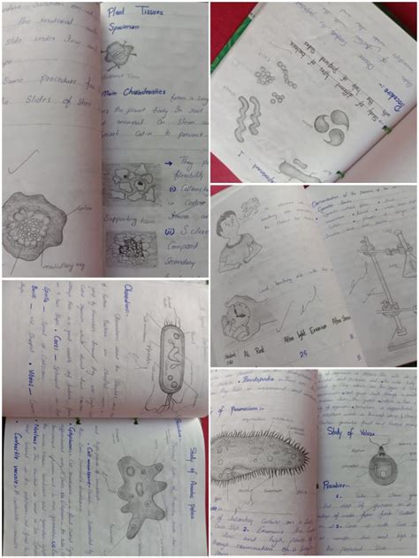 Handwrite And Typed Your Given Notes And Assignment By Hirra15 Fiverr