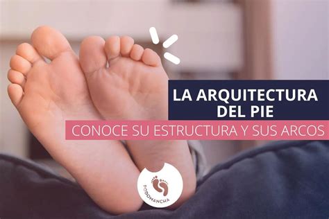 Bóveda Plantar Anatomía Funciones Y Patologías Doctor Online