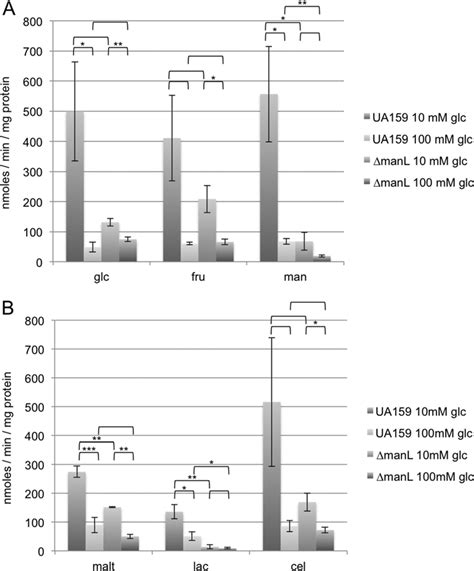 S Mutans Ua159 And A Manl Mutant Strain Grown In Continuous Culture