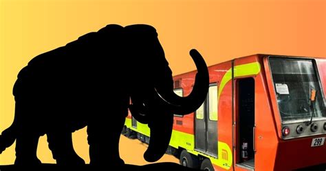 ¿qué Estación Del Metro De La Cdmx Alberga Los Restos De Un Mamut Infobae