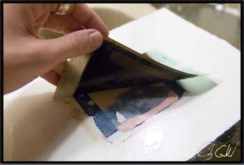 Polaroid 669 Transfer Process A Hybrid Process