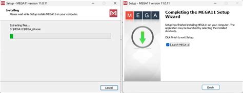 如何使用mega 11完成多序列比对和系统发育树构建图？ 哔哩哔哩
