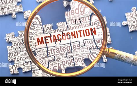 metacognition as a complex and multipart topic under close inspection