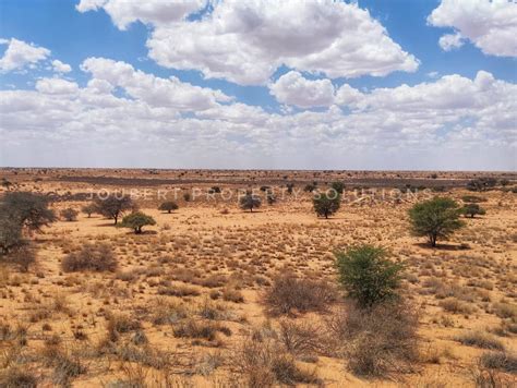 Gochas Central Farm For Sale Game Farming Potential Water Supply And Fenced Camps 2336438