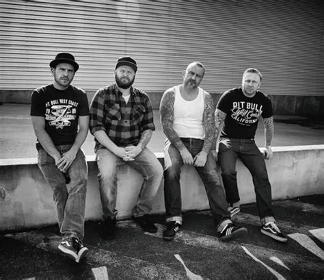 The Analogs Bilety Na Koncerty Going