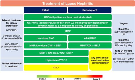 Eular Recommendations For The Management Of Systemic Lupus