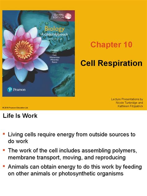 10 lecture presentation short pdf