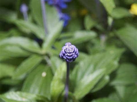 Random Plays La Reflexologie Et Les Maladies Du SystÈme Nerveux Pourquoi Troubles Du