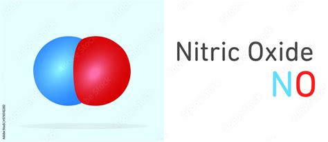 Nitric Oxide No Gas Molecule Space Filling Model Structural