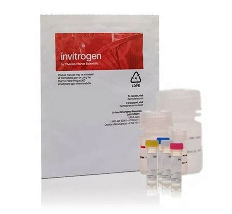 Enzchek Reverse Transcriptase Assay Kit E22064 At ₹ 60969piece In