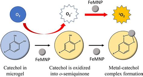 Iron Magnetic Nanoparticle Induced Ros Generation From Catechol