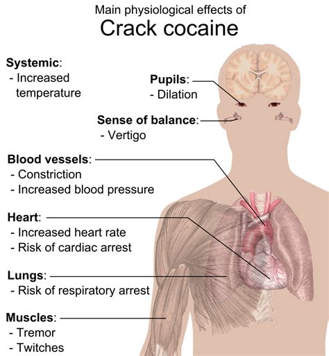What Is Crack Rehab Guide