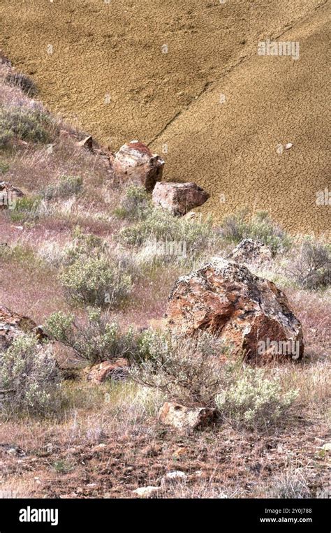 The Large Geologic Formations Within The Desert Region Of Oregon Stock