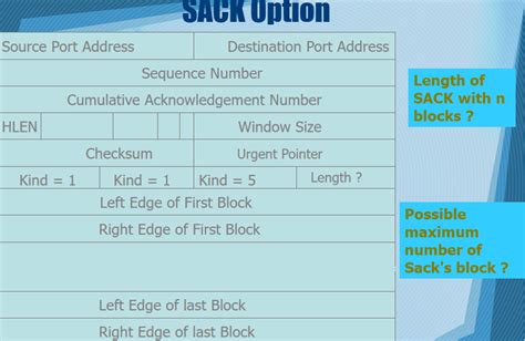 Sack Dsack 相关介绍 Codestacklinuxer 博客园 Sack Dsack 相关介绍 Codestacklinuxer 博客园