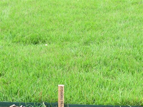 Grass Plots At The Raincatchers Garden Of Midway Hills Dallas Garden