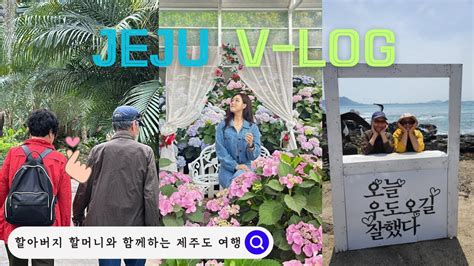 제주도 할아버지 할머니와 함께하는 제주도 여행 4월의 제주도 제주도 수국축제 우도 Youtube
