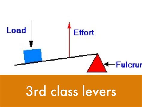 First Second And Third Class Levers