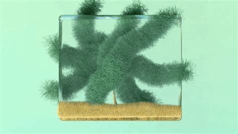 Experiment Cube D Motion Graphics Behance