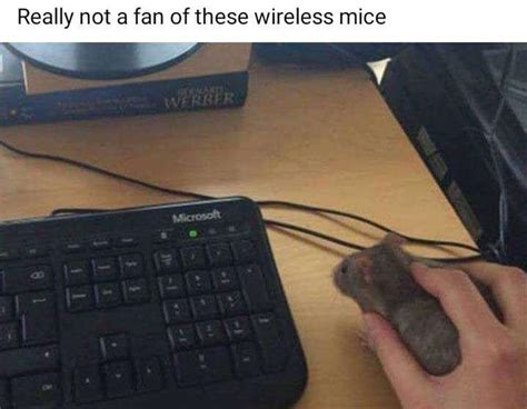 Gosh Dang Wireless Mice R Memes Know Your Meme