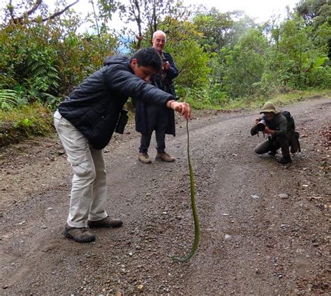 Img 20231220 Wa0114 Bella Cooper Dyer Flickr