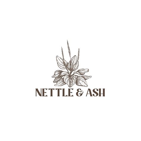 Nettle 🗣️ Reclaiming Language Terms We Choose “words Have Power We