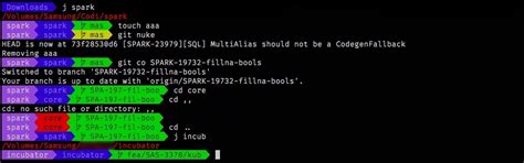 Modifying The Agnoster Theme For Zsh