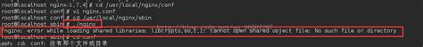 Nginx Error While Loading Shared Libraries Libcryptoso11 Cannot Open Shared Object File