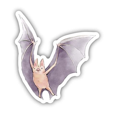 [100 ] Cute Bat Pictures