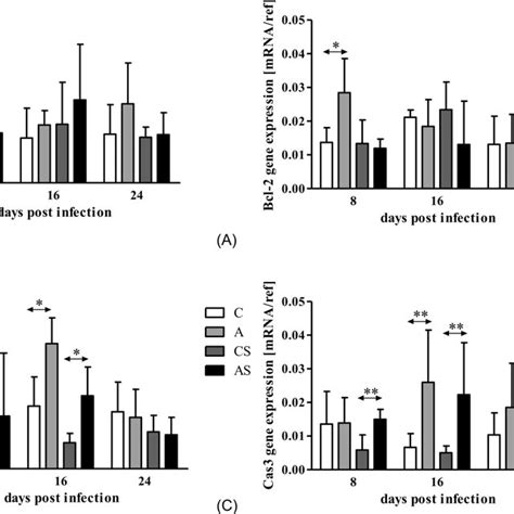 Gene Expression Of Bax A Bcl 2 B Cas9 C And Cas3 D In The