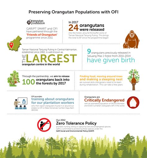 Preserving Orangutan Populations With Ofi Golden Agri Resources