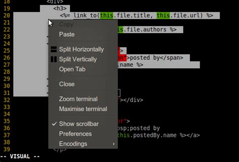 Configuration Copying Text Outside Of Vim With Set Mousea Enabled