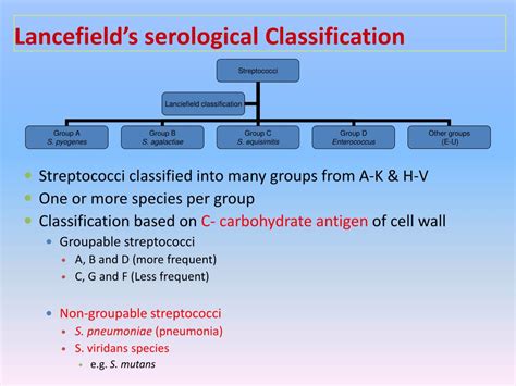 Ppt Rheumatic Fever Aetiology And Immunopathogenesis Powerpoint Presentation Id2264632 Ppt Rheumatic Fever Aetiology And Immunopathogenesis Powerpoint Presentation Id2264632