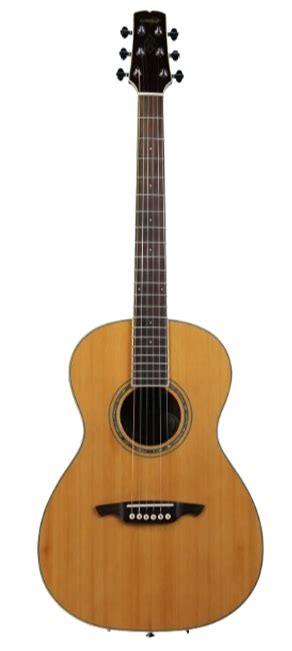 Wechter Guitars Acoustic Guitar Models
