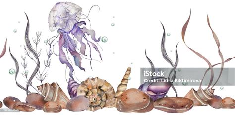 해파리 조개 조류 산호를 사용한 수중 수채화 구성 해양 테마입니다 엽서 포스터 전단지 로고 여행사 해변 액세서리 여행 목록