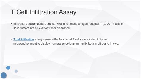 Ppt T Cell Infiltration Powerpoint Presentation Free Download Id