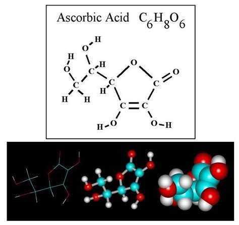 A Gallery Of Ascorbic Acid