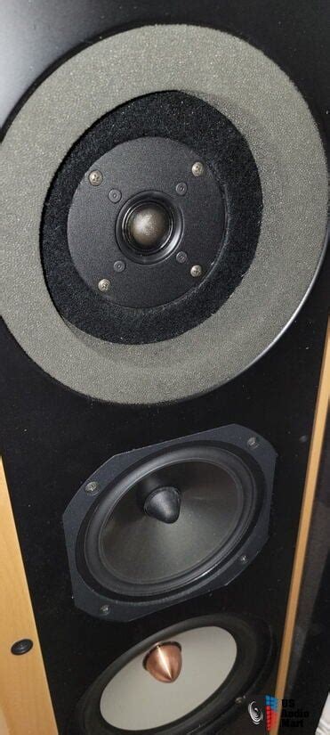 Von Schweikert Vr 7hse Reference Grade Full Range Floor Standing