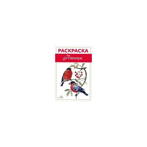 Птицы. Раскраска