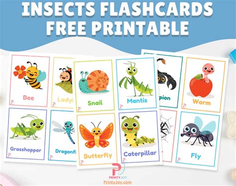 Sight Word Practice Cards Free Printables