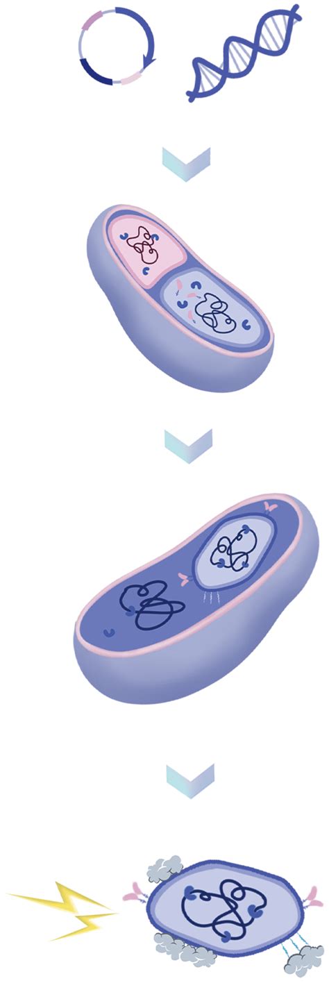 Project Description Sjtu Biox Shanghai Igem 2022