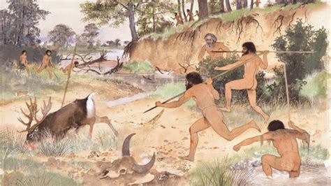 Evolutionary Biology Twisting The Tale Of Human Evolution Nature