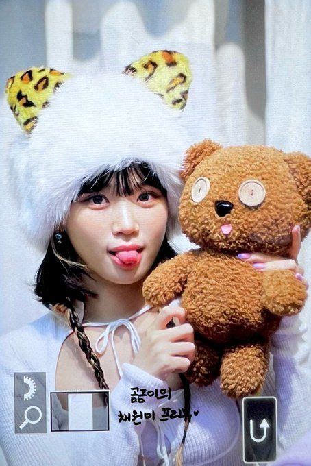 곰곰 • ˖° ♡ On X Sakura